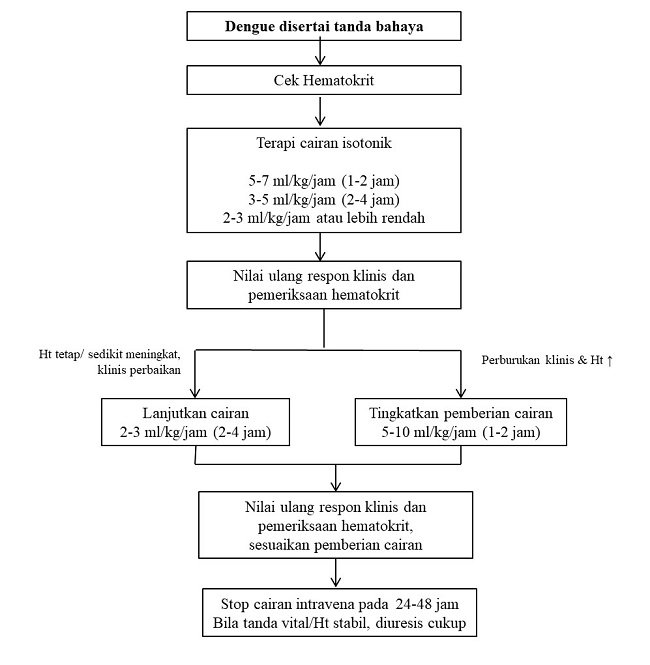 Manajemen Dengue Pada Infant - Alomedika