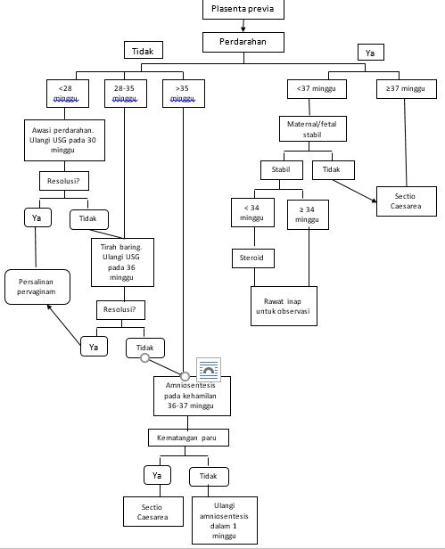 Penatalaksanaan Plasenta Previa - Alomedika