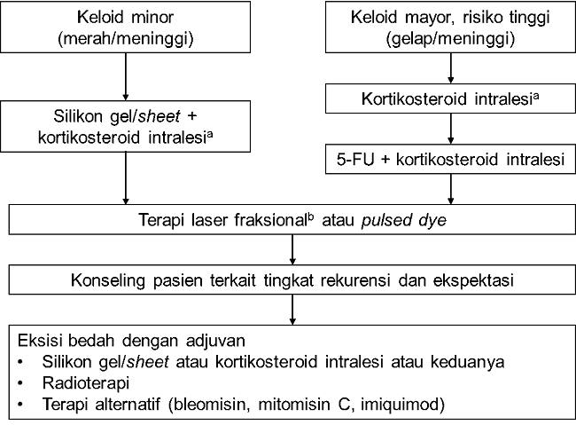 Penatalaksanaan Keloid - Alomedika