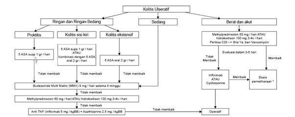 Penatalaksanaan Kolitis Ulseratif - Alomedika